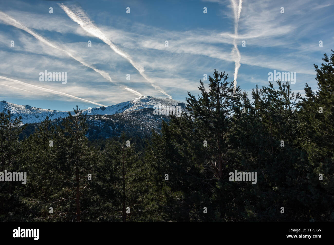 Snowy mountains surrounded by a large forest during a sunny day with ...