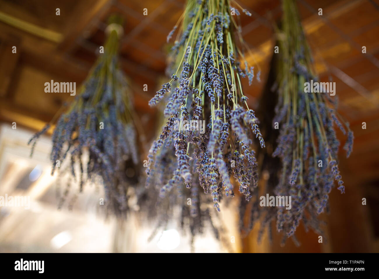 Drying lavender hi-res stock photography and images - Alamy