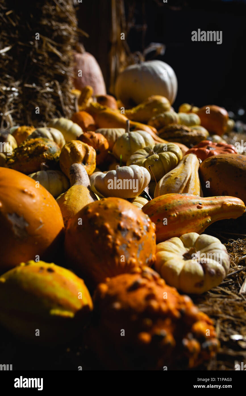 Gourds food hi-res stock photography and images - Alamy