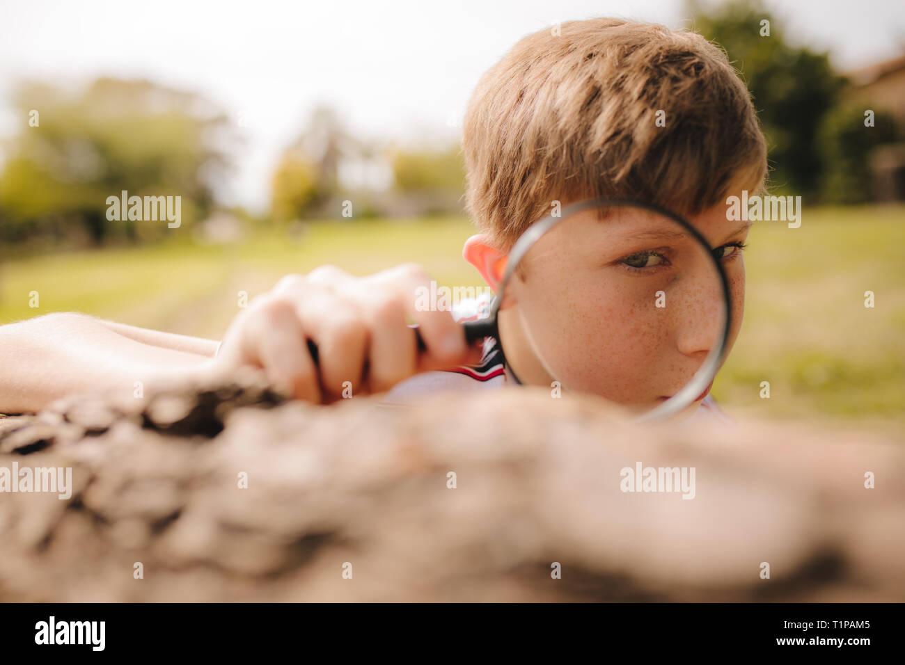 Magnifying glass insect child hi-res stock photography and images - Alamy