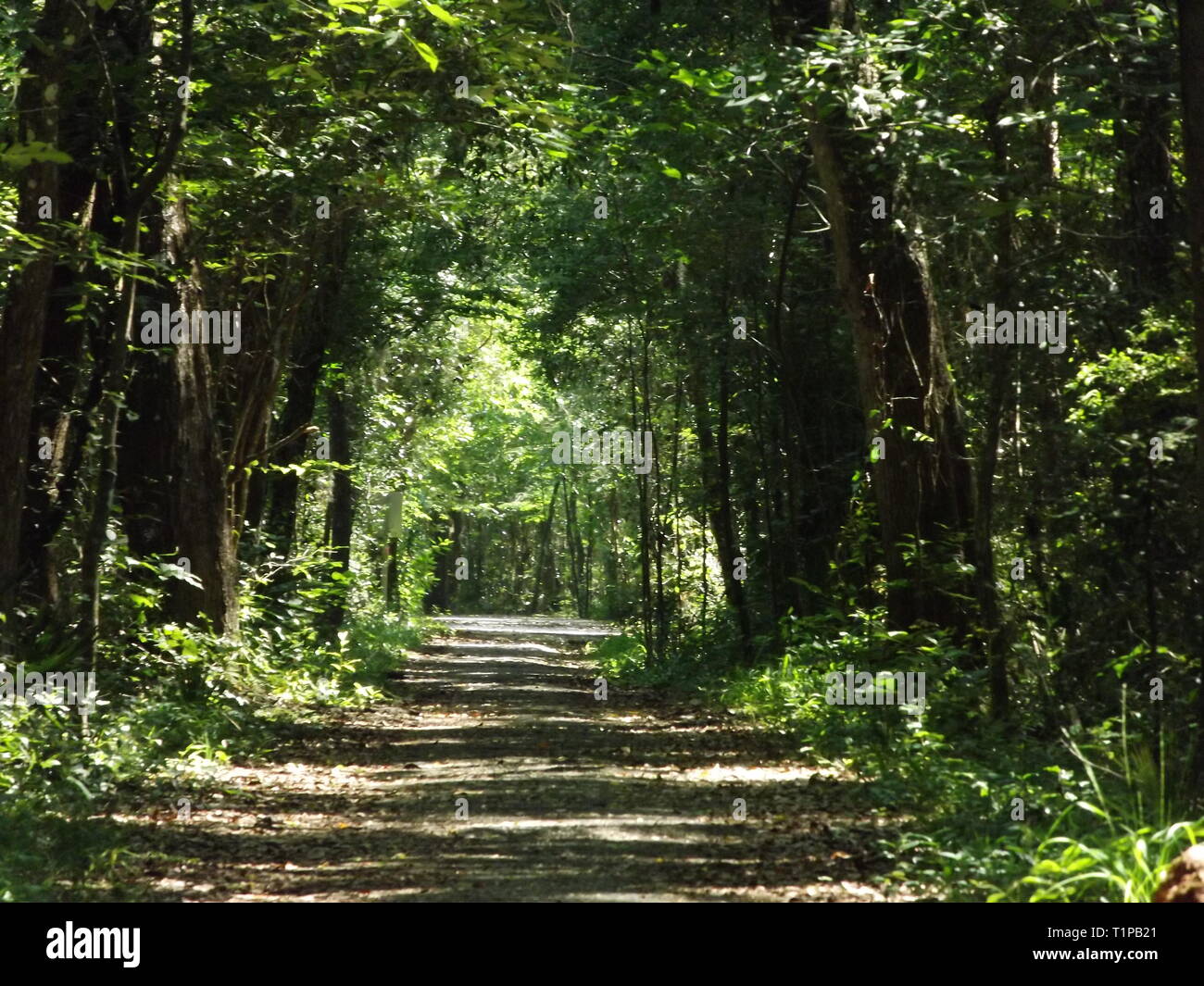 Nature walking hi-res stock photography and images - Alamy
