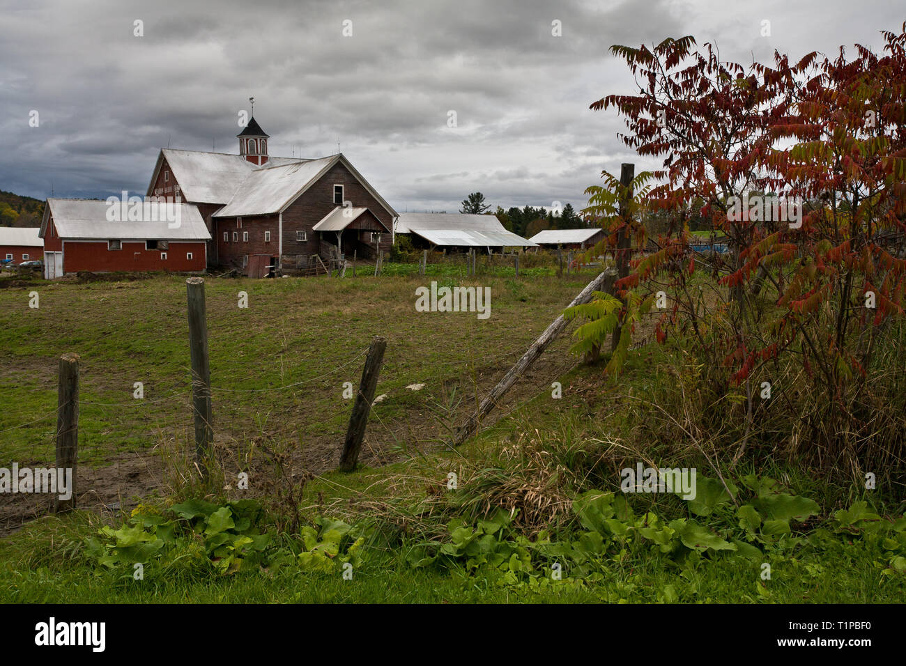 Lyndon vermont hi-res stock photography and images - Alamy