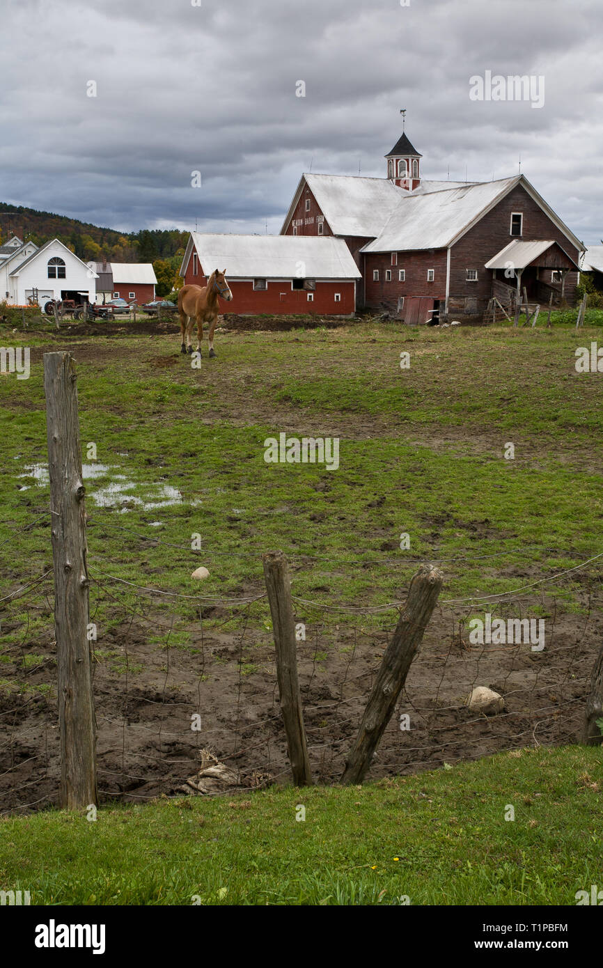 Lyndon brook hi-res stock photography and images - Alamy