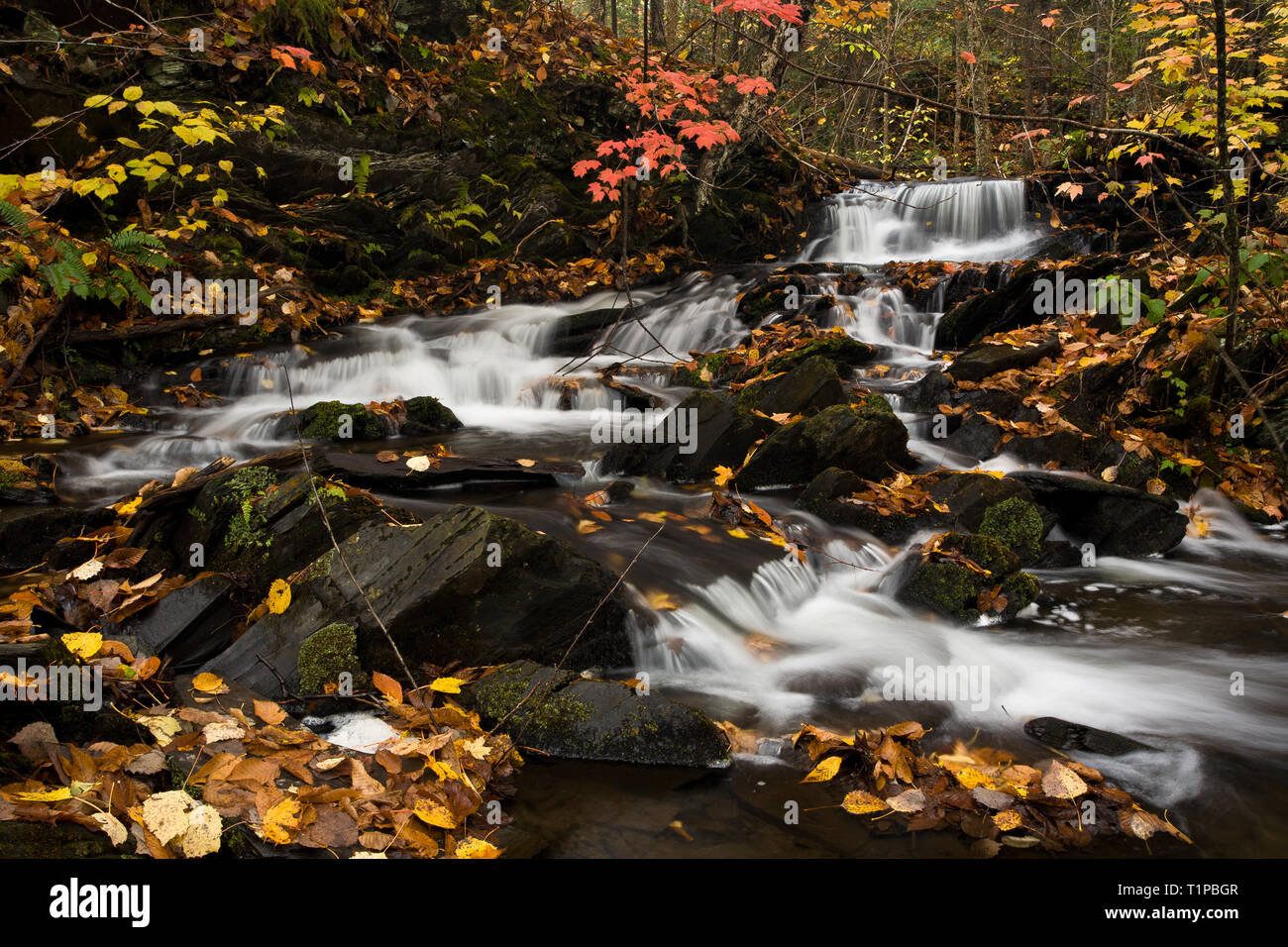 Hancock brook hi-res stock photography and images - Alamy