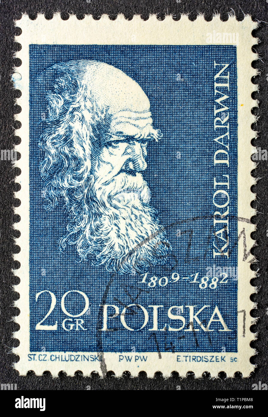 Charles Darwin, English naturalist, geologist and biologist, portrait ...