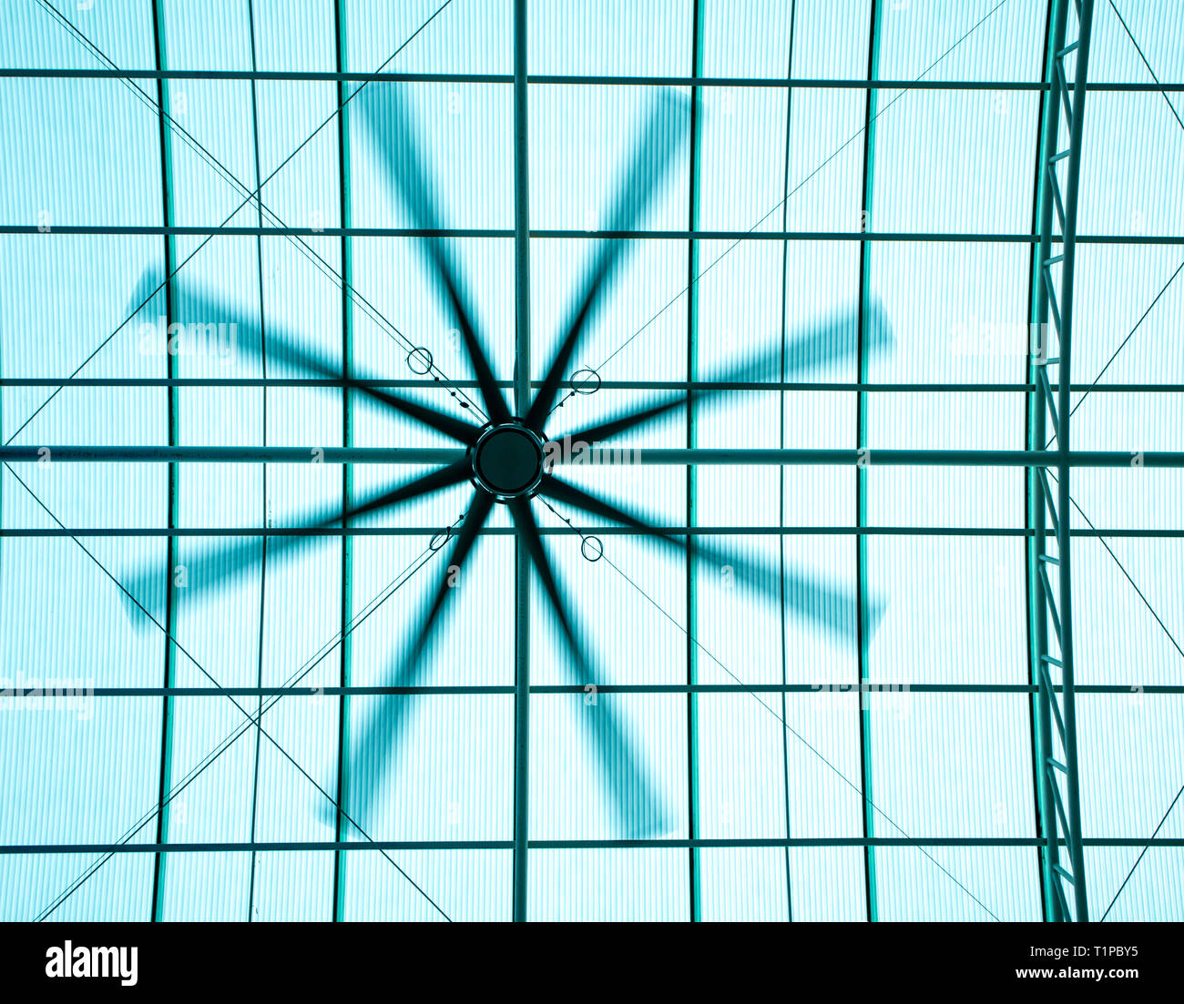 Translucent roof hi-res stock photography and images - Alamy