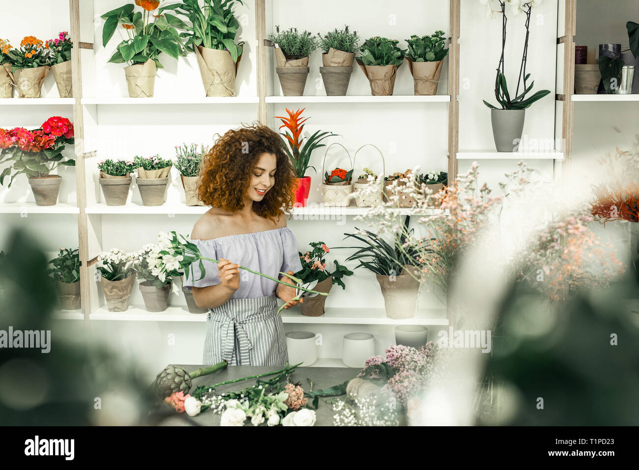 Beautiful curly woman feeling busy while working on floral decoration ...