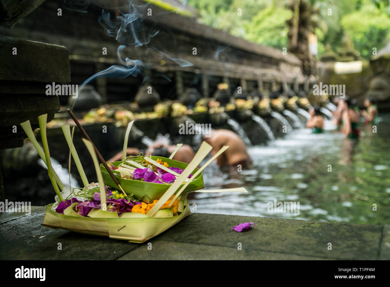 The holy spring water of Pura Tirta Empul temple in Tampa, Bali ...