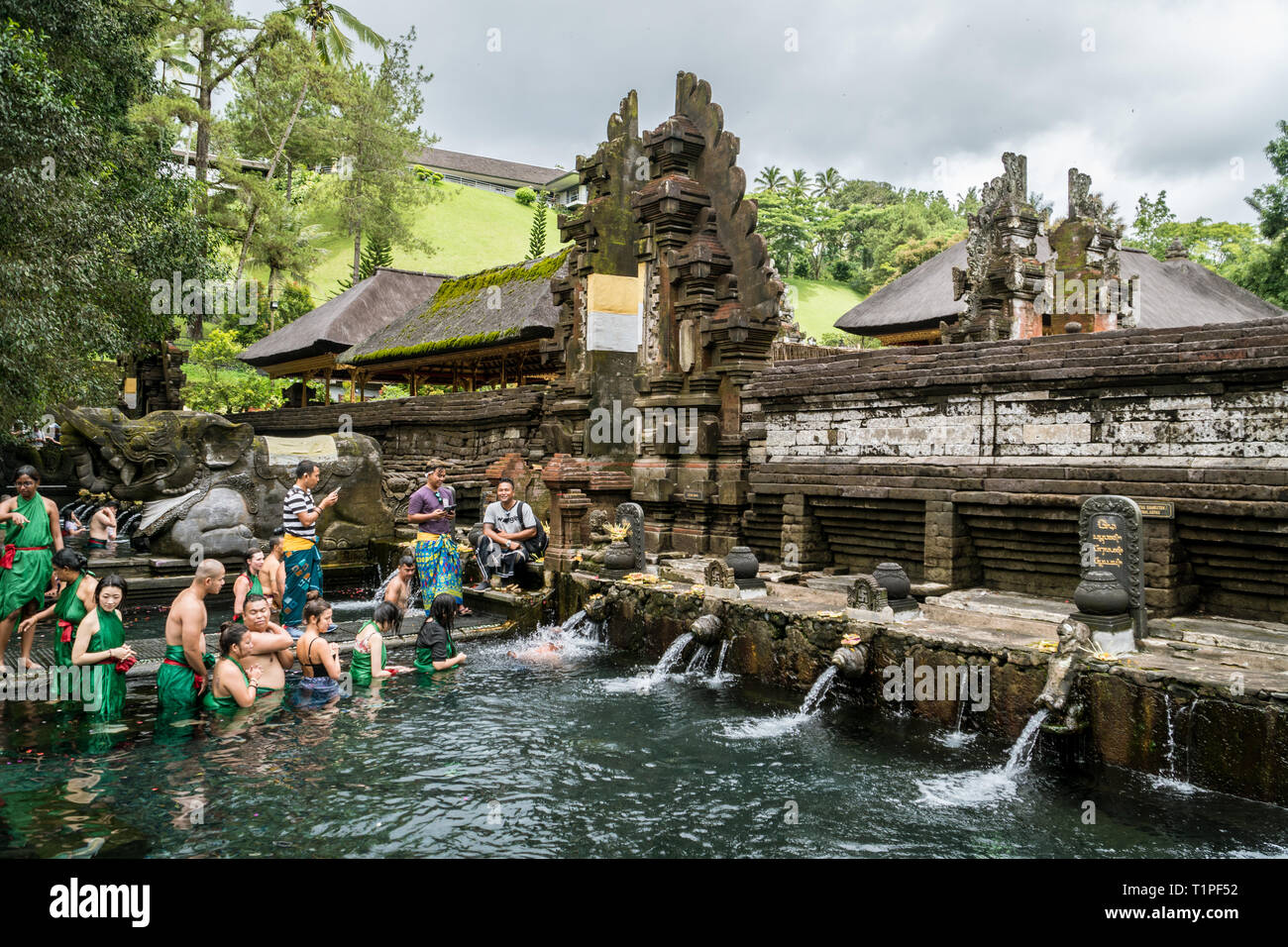 Bali, Indonesia - january 22, 2019: People praying in the holy spring ...