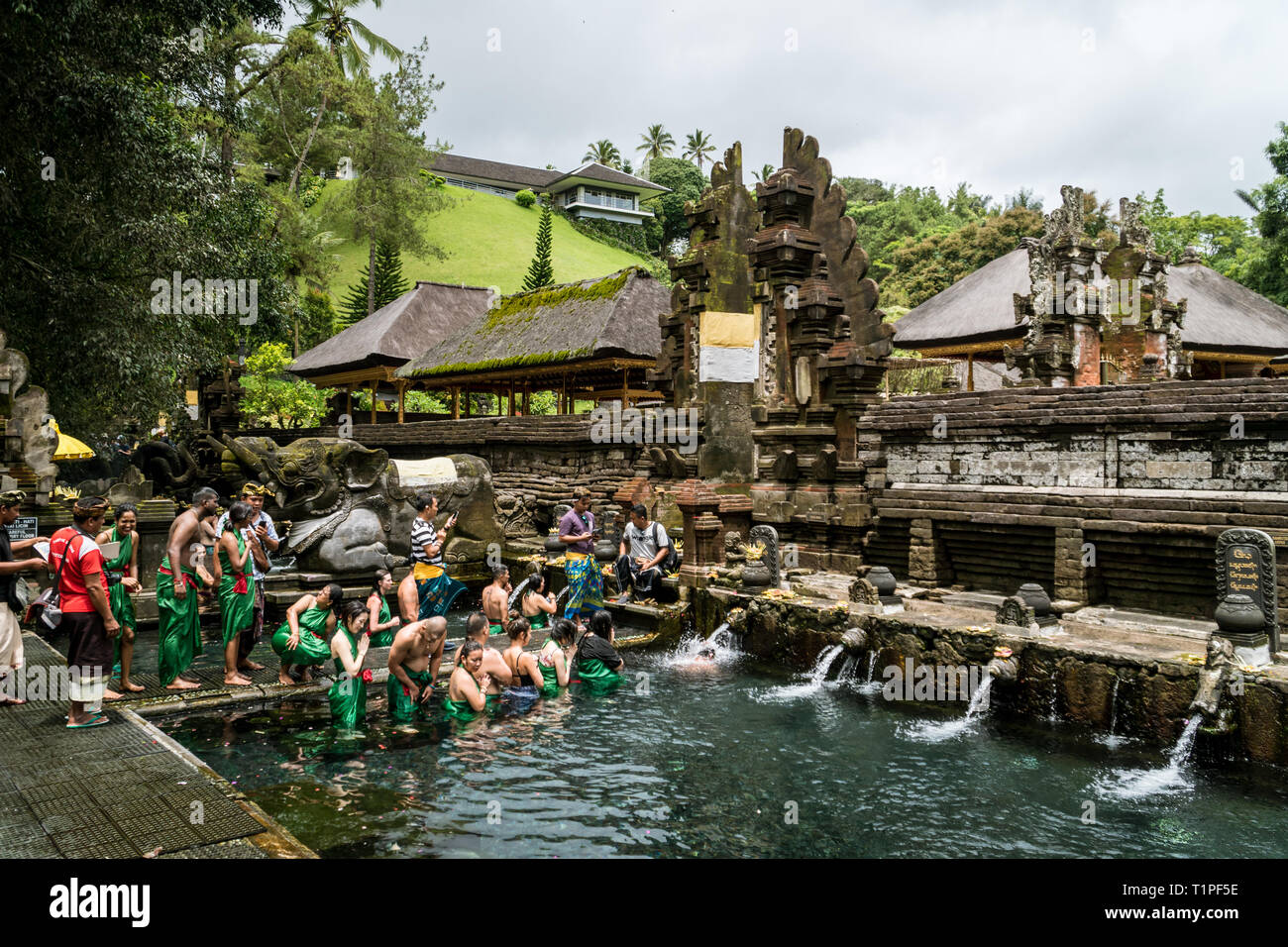 Bali, Indonesia - january 22, 2019: People praying in the holy spring ...