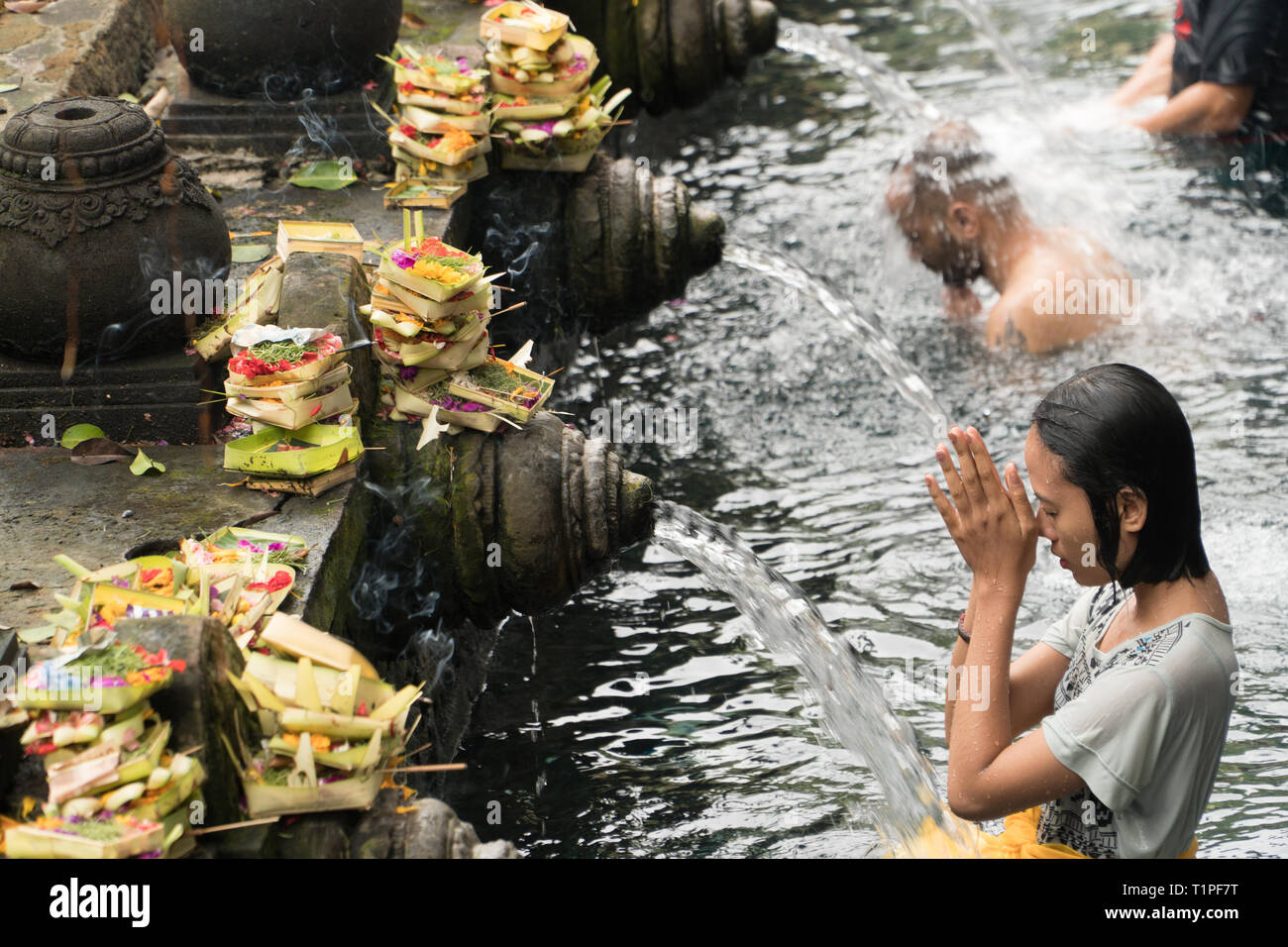 Bali, Indonesia - january 22, 2019: Woman praying at the holy spring ...
