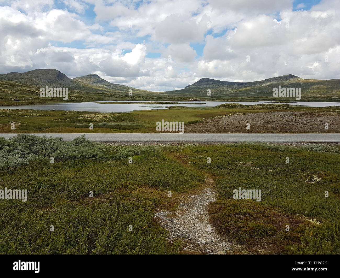 Rondane National Park Stock Photo - Alamy