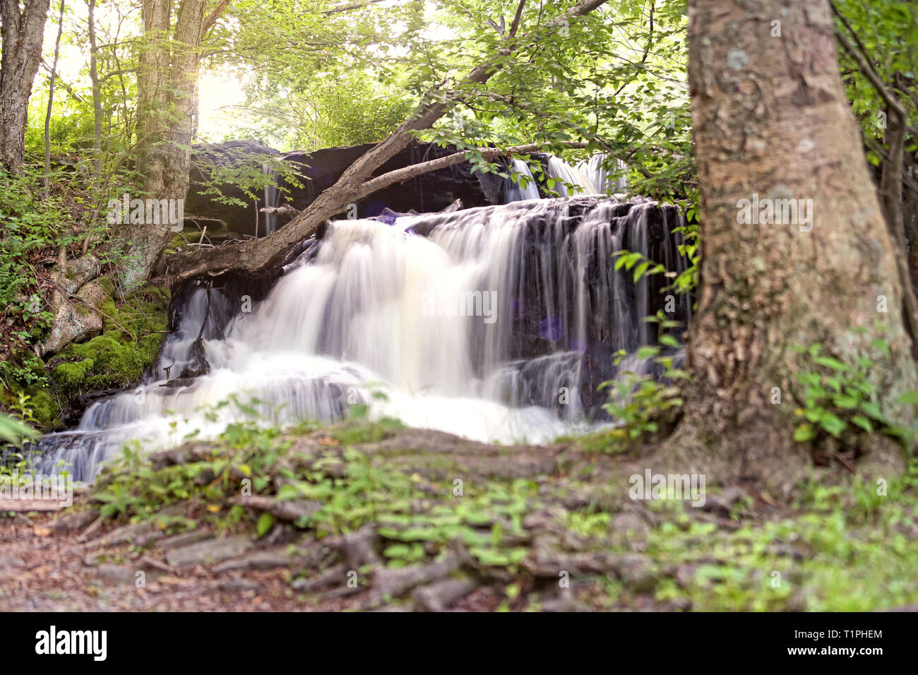 Waterfalls long exposure trees and sunny Stock Photo - Alamy