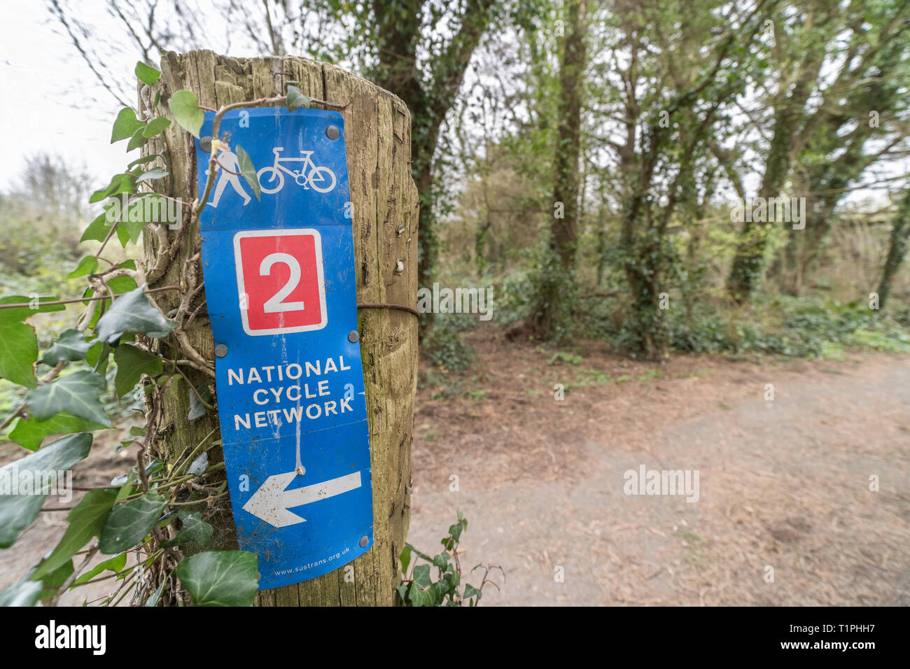 Sustrans National Cycle Network route sign near Par, Cornwall. Cycling ...