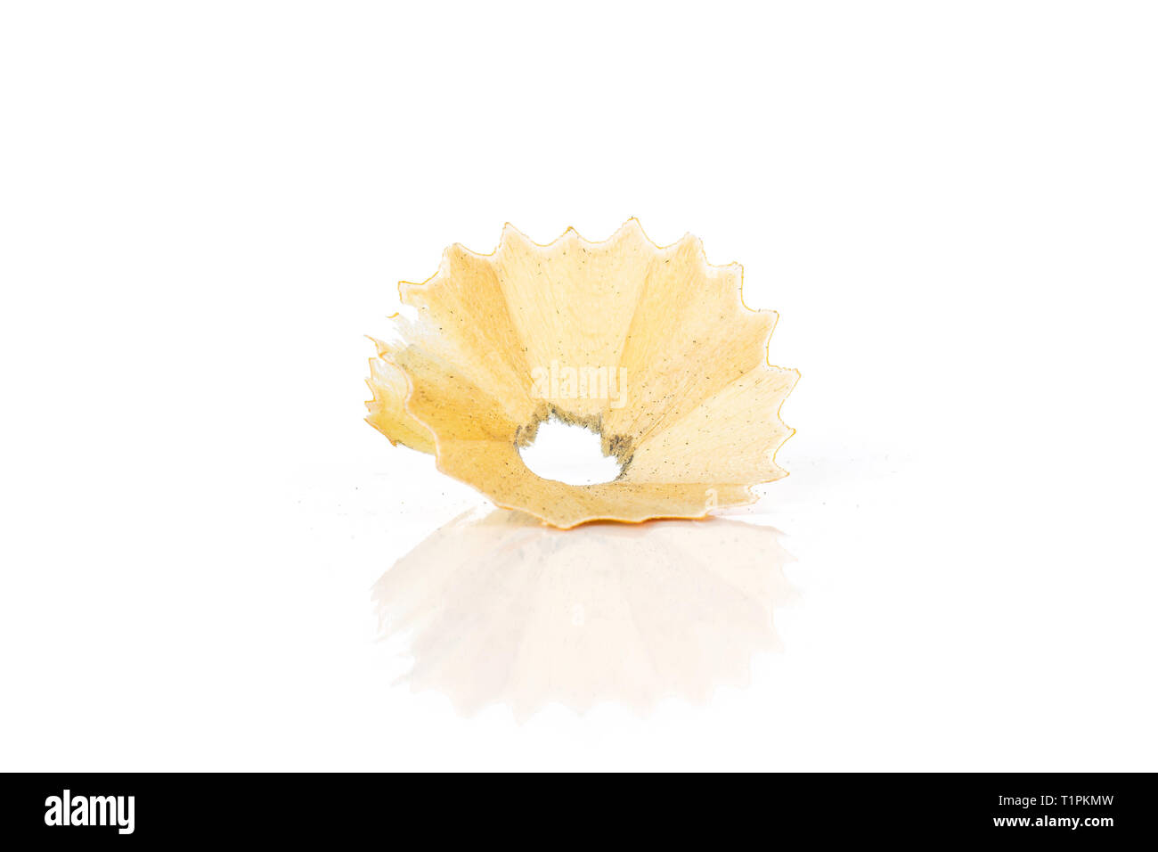 One piece of yellow pencil fan-shaped shaving isolated on white ...