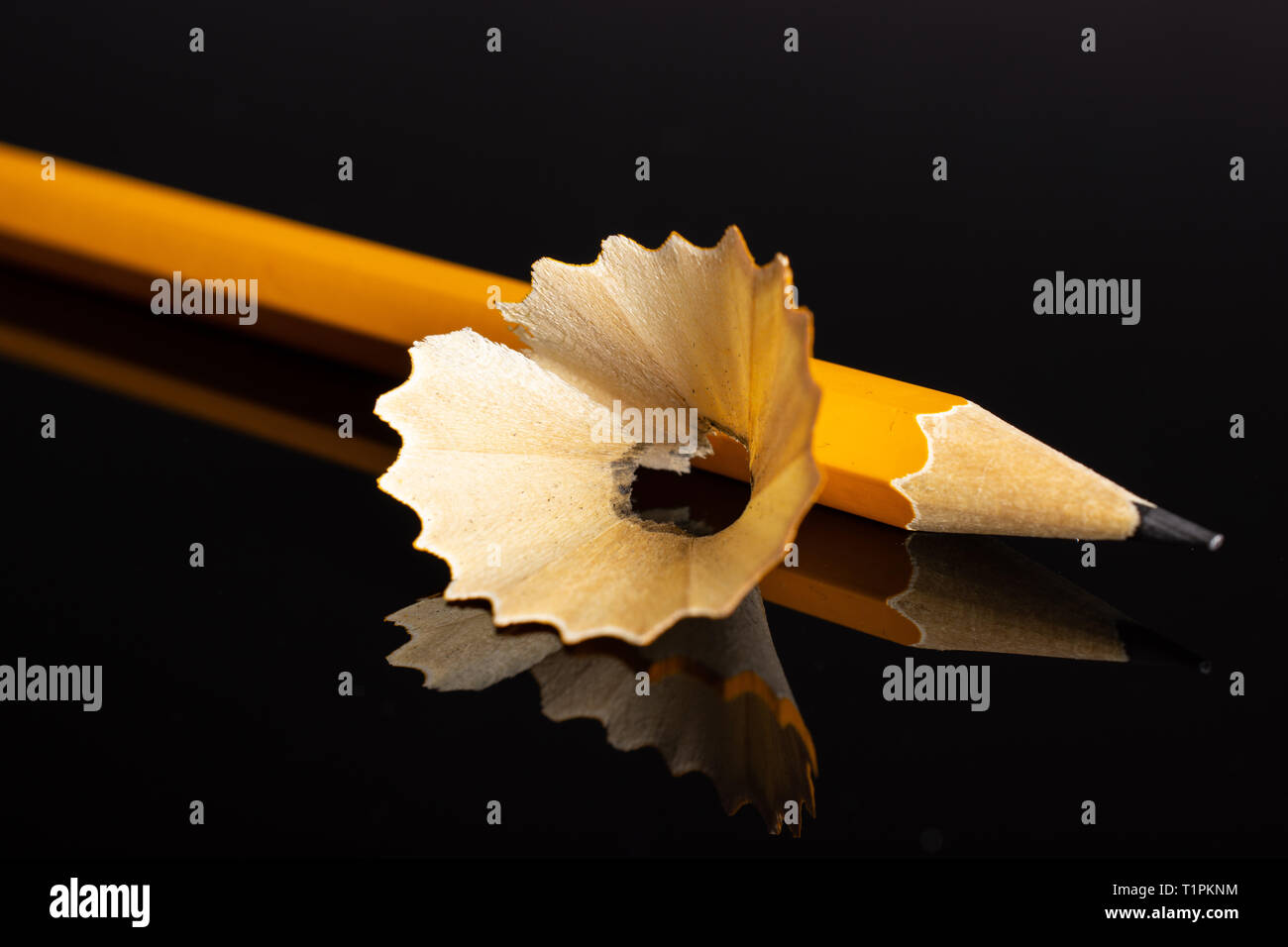 One whole yellow pencil fan-shaped shaving isolated on black glass ...