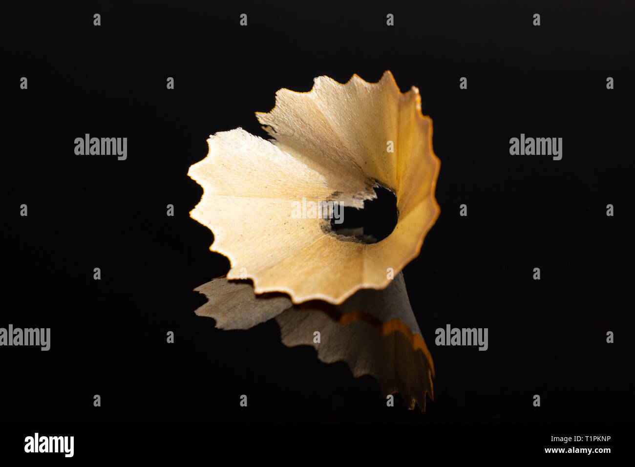 One piece of yellow pencil fan-shaped shaving isolated on black glass ...