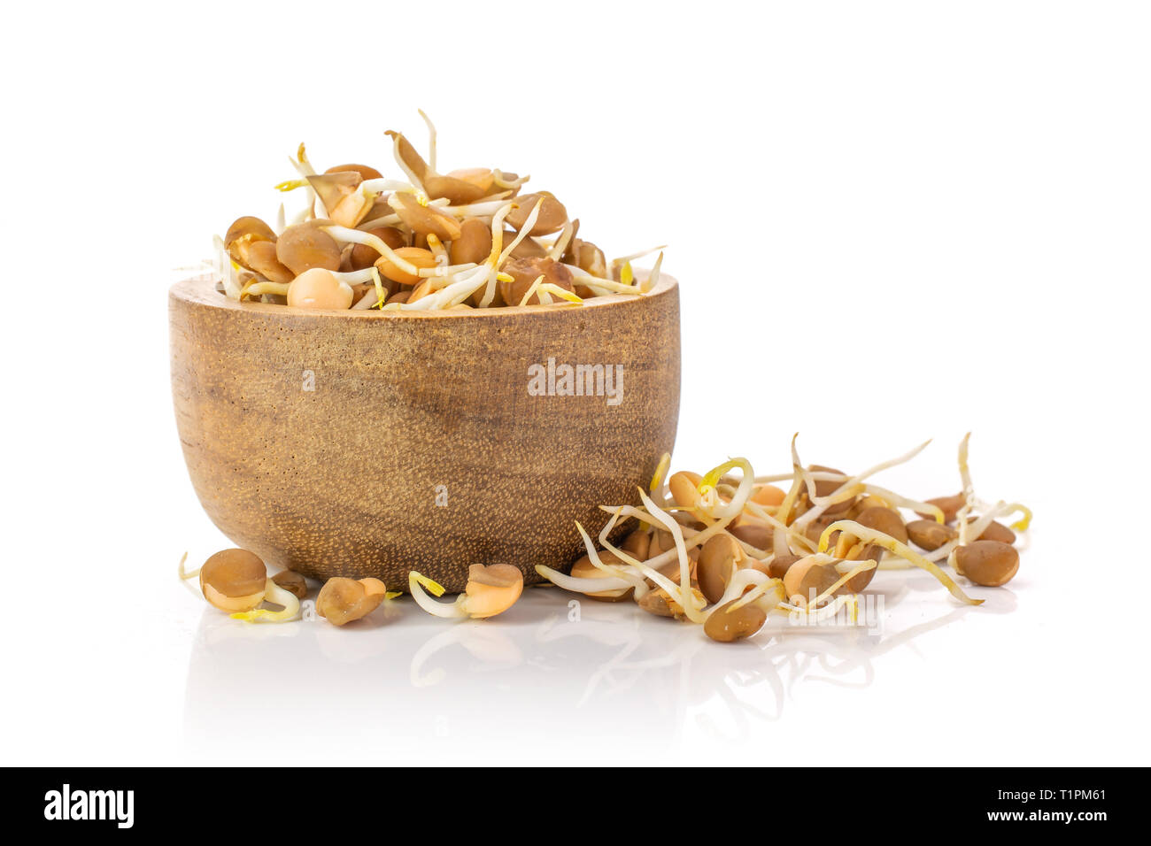 Lot of whole raw fresh yellow lentil sprouts with wooden bowl isolated ...