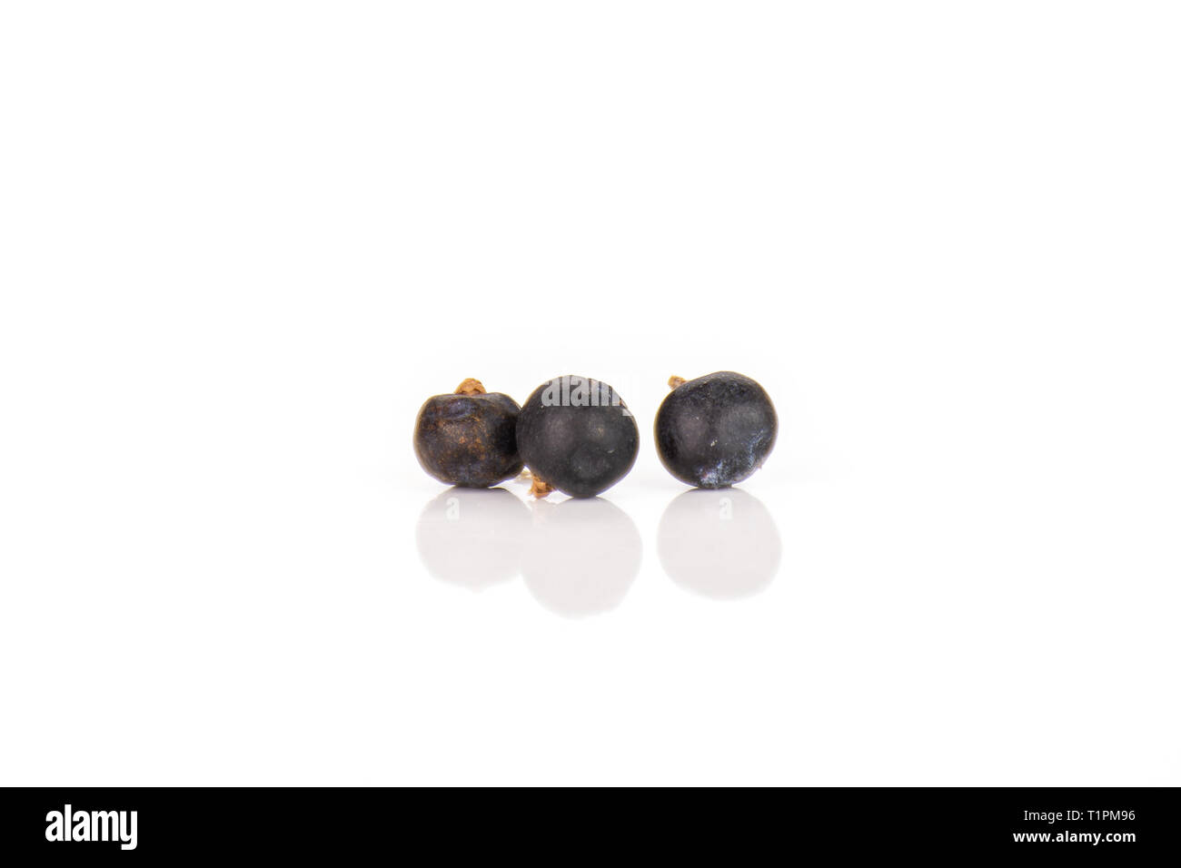 Group of three whole dry juniper berry seed isolated on white ...