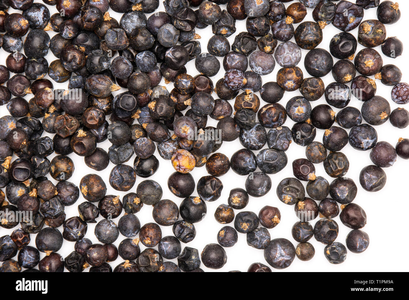 Lot of whole dry juniper berry seed flatlay isolated on white ...