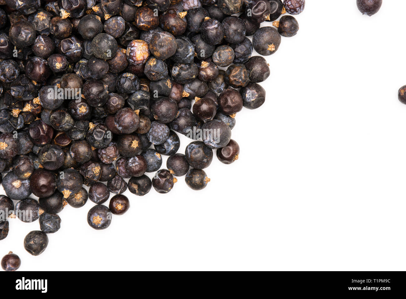 Lot of whole dry juniper berry seed flatlay isolated on white ...
