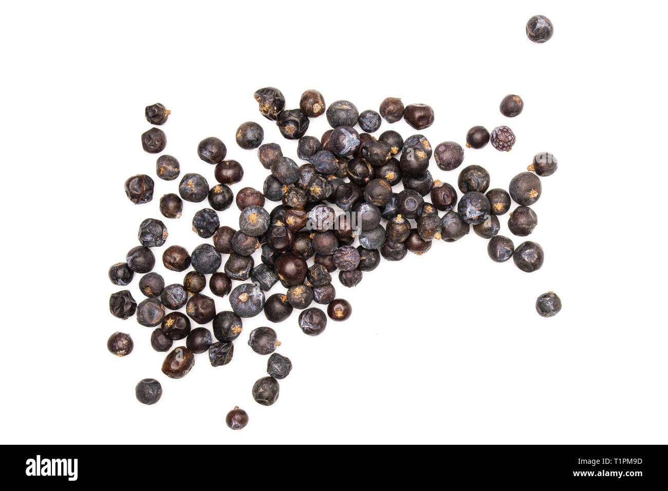 Lot of whole dry juniper berry seed flatlay isolated on white ...