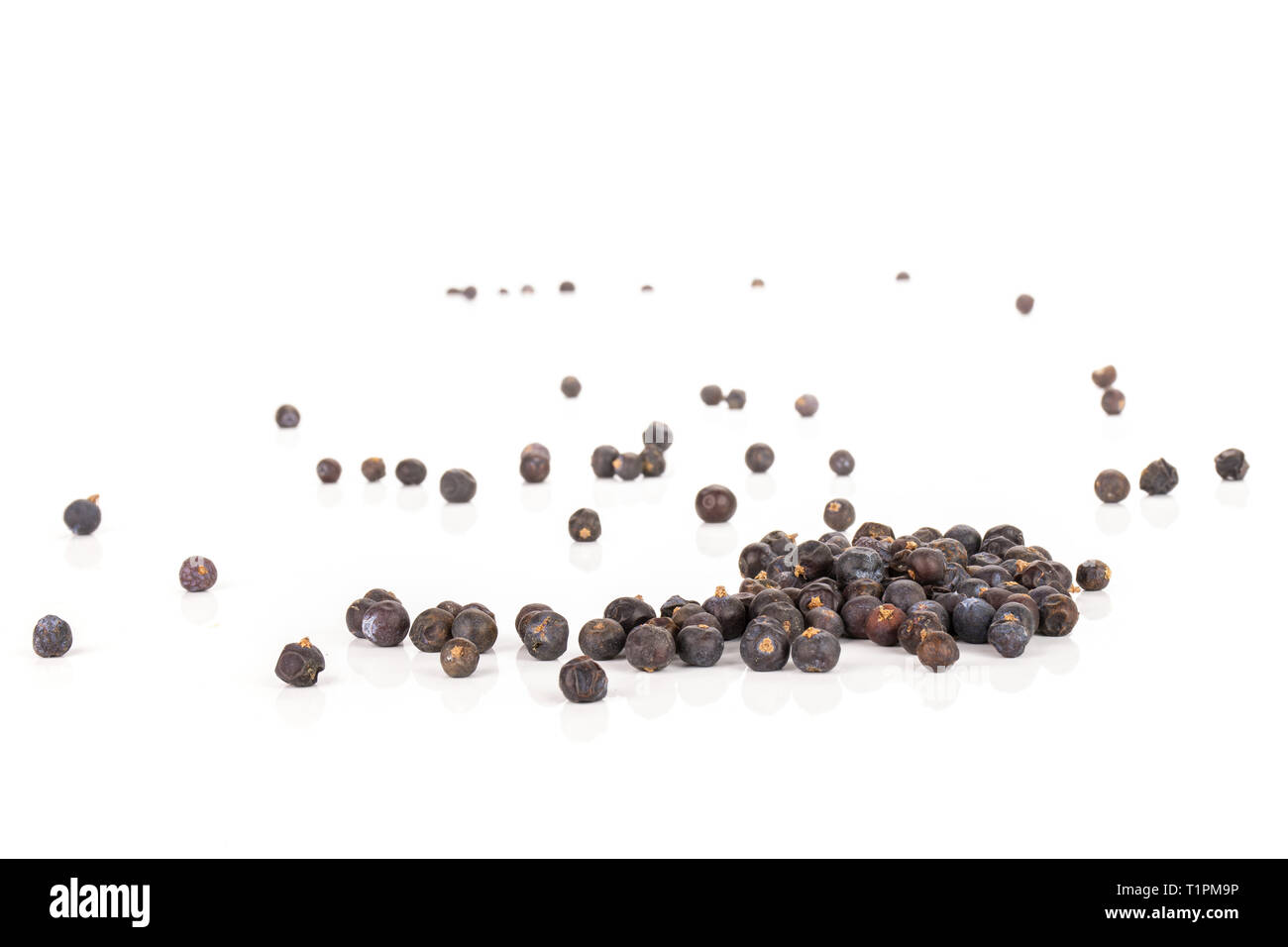 Lot of whole dry juniper berry seed isolated on white background Stock ...