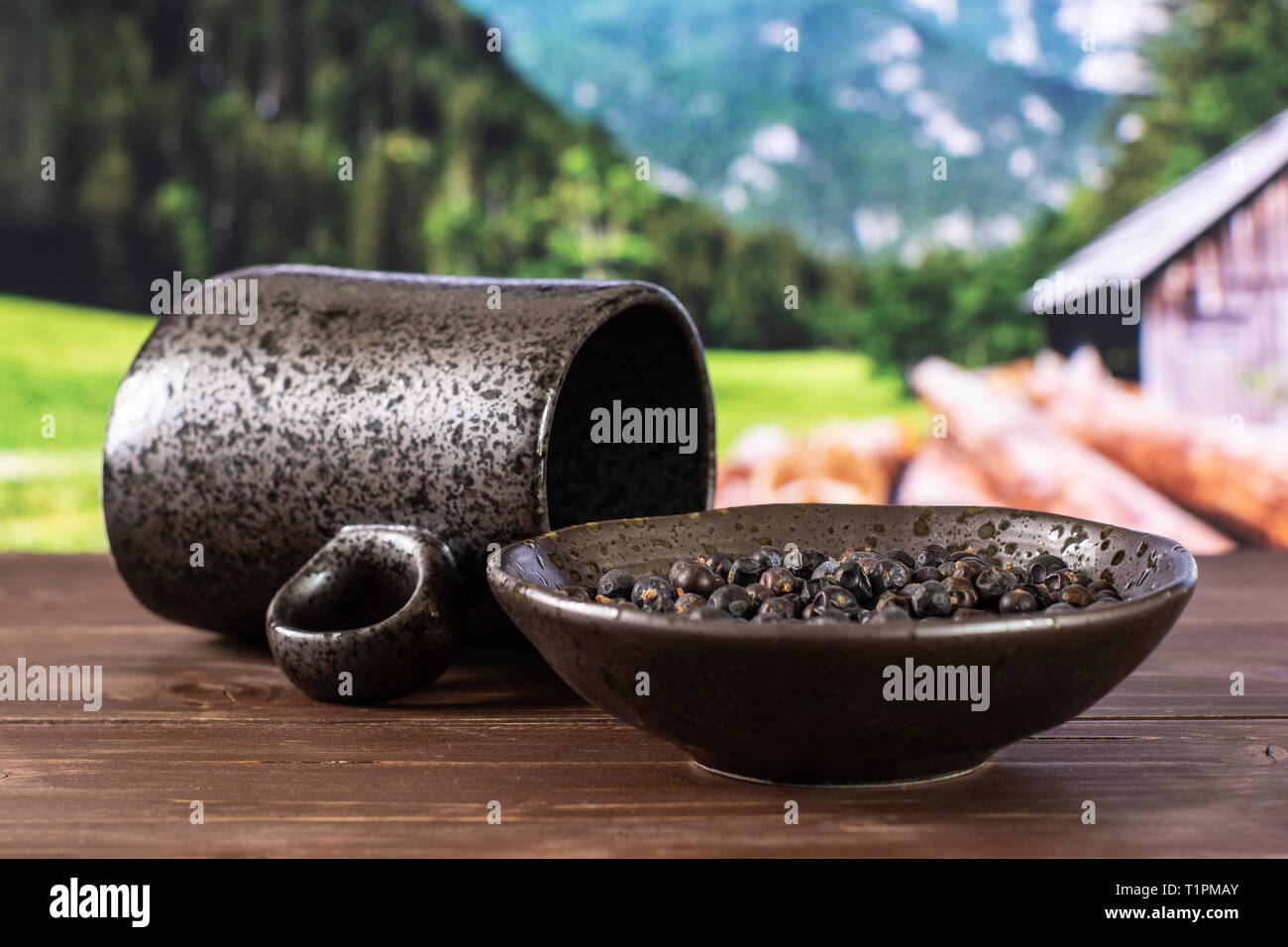 Lot of whole dry juniper berry seed with country nature in background ...