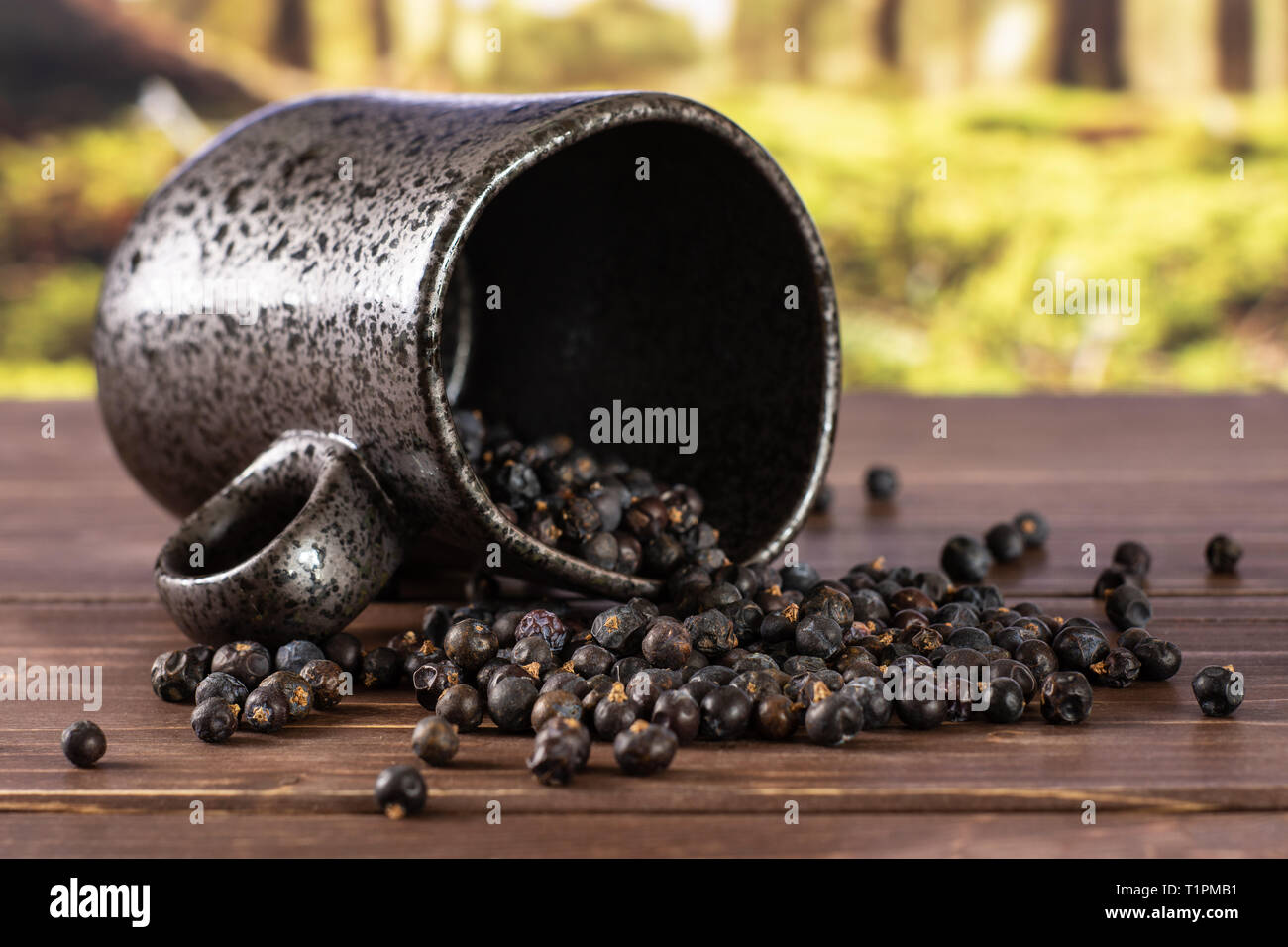 Lot of whole dry juniper berry seed with forest in background Stock ...