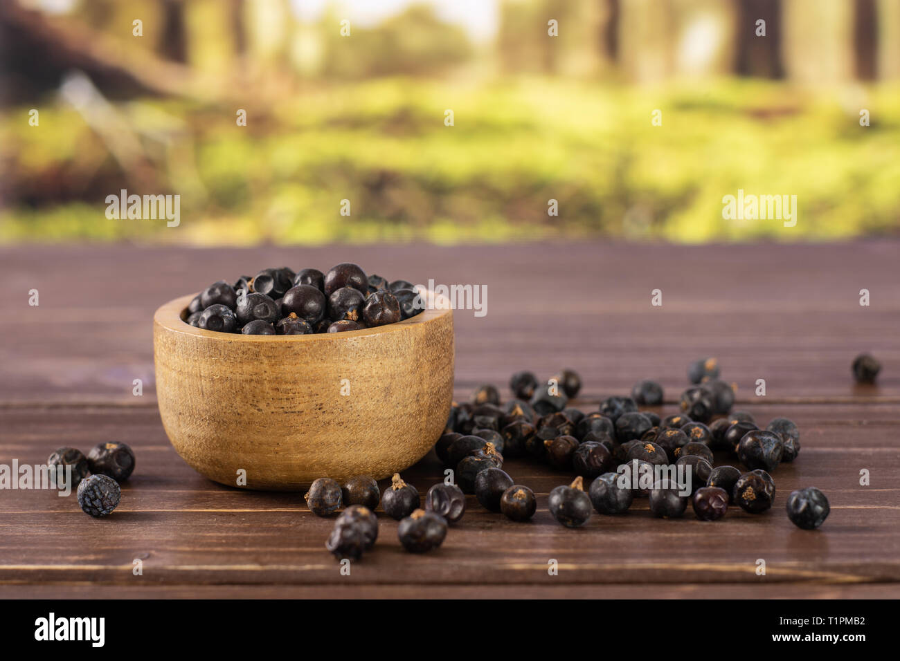 Lot of whole dry juniper berry seed with forest in background Stock ...