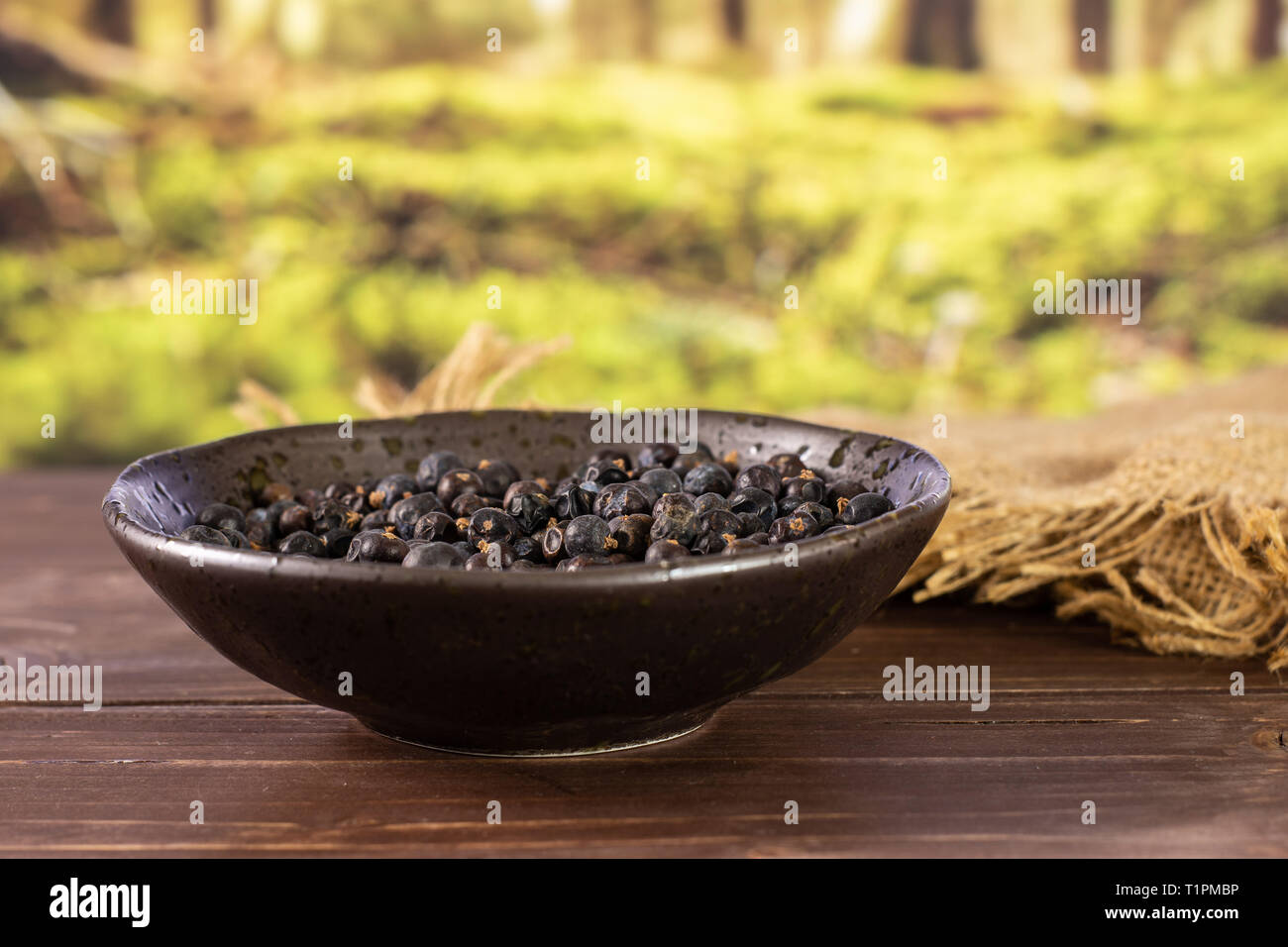 Lot of whole dry juniper berry seed with forest in background Stock ...