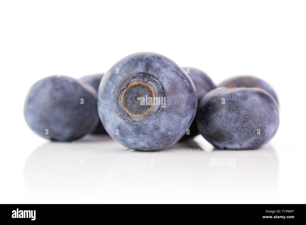 Lowbush blueberry Cut Out Stock Images & Pictures - Alamy