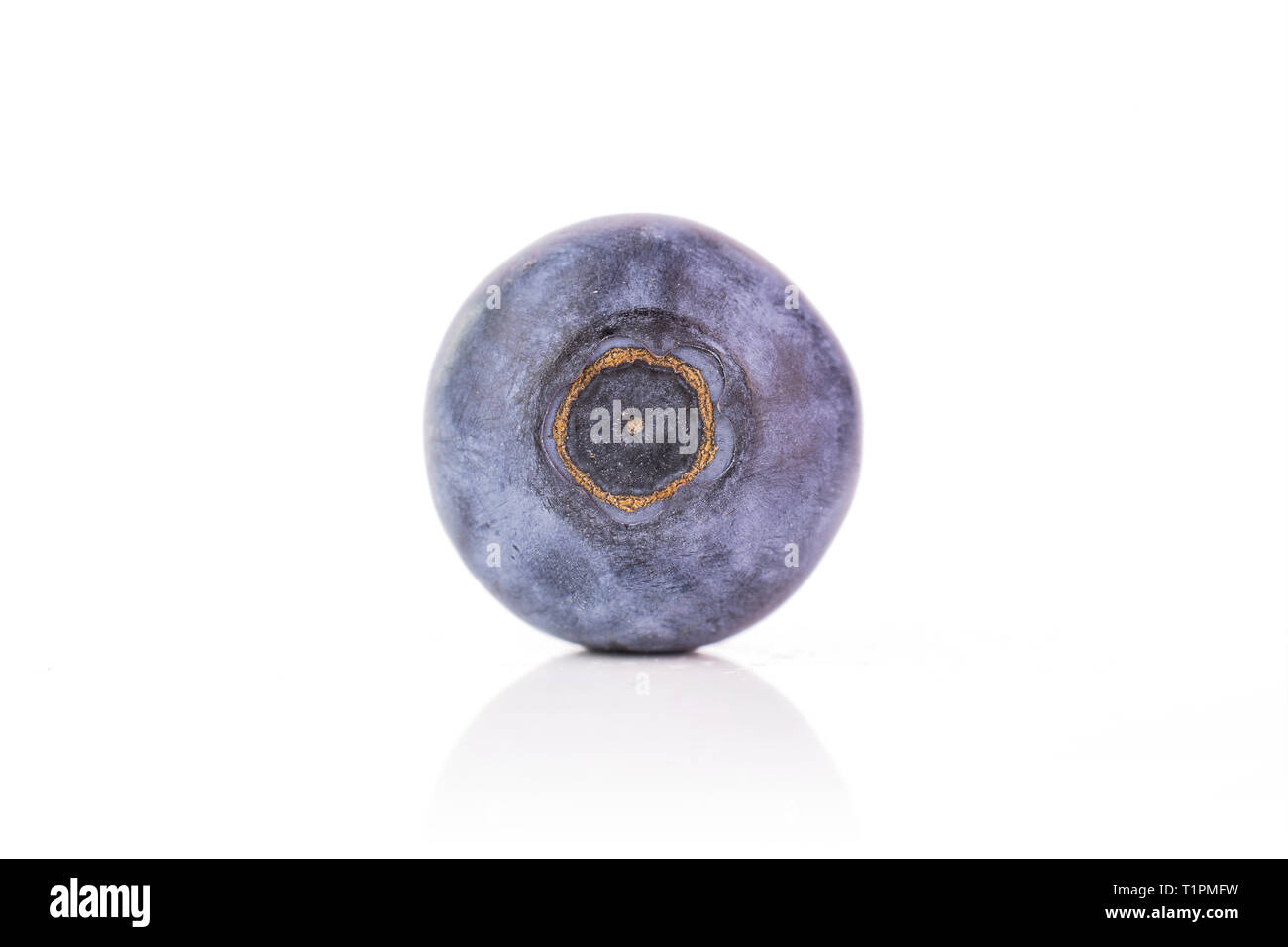 One whole fresh sweet purple blueberry american isolated on white ...