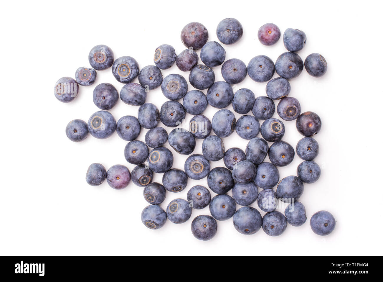 Lot of whole fresh sweet purple blueberry american flatlay isolated on ...
