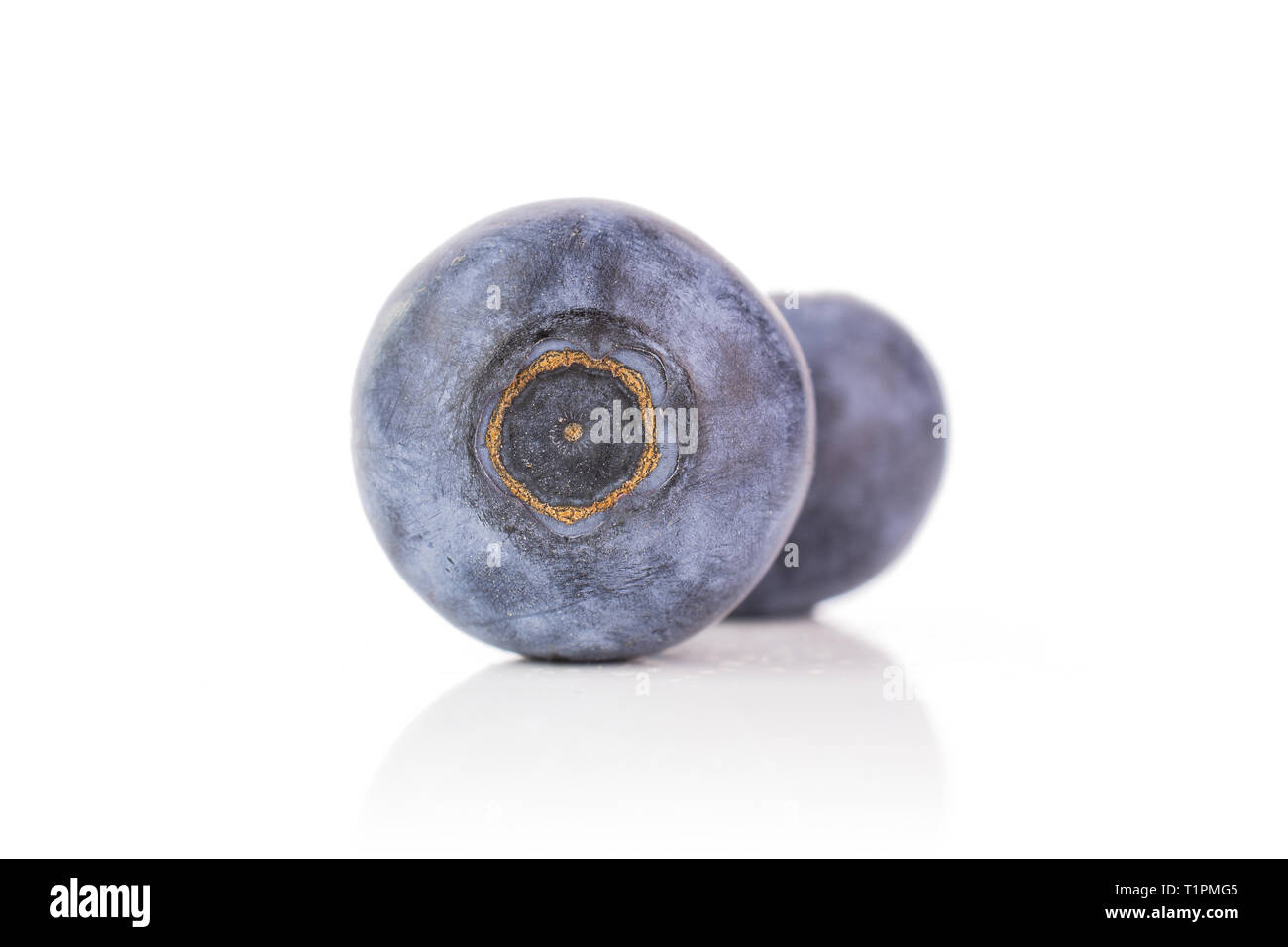 Group of two whole fresh sweet purple blueberry american isolated on ...