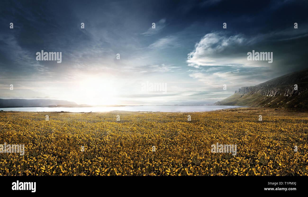 Car ads background Stock Photo - Alamy