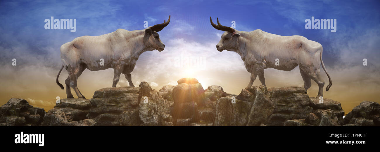 bull at sunset. 3d rendering Stock Photo - Alamy