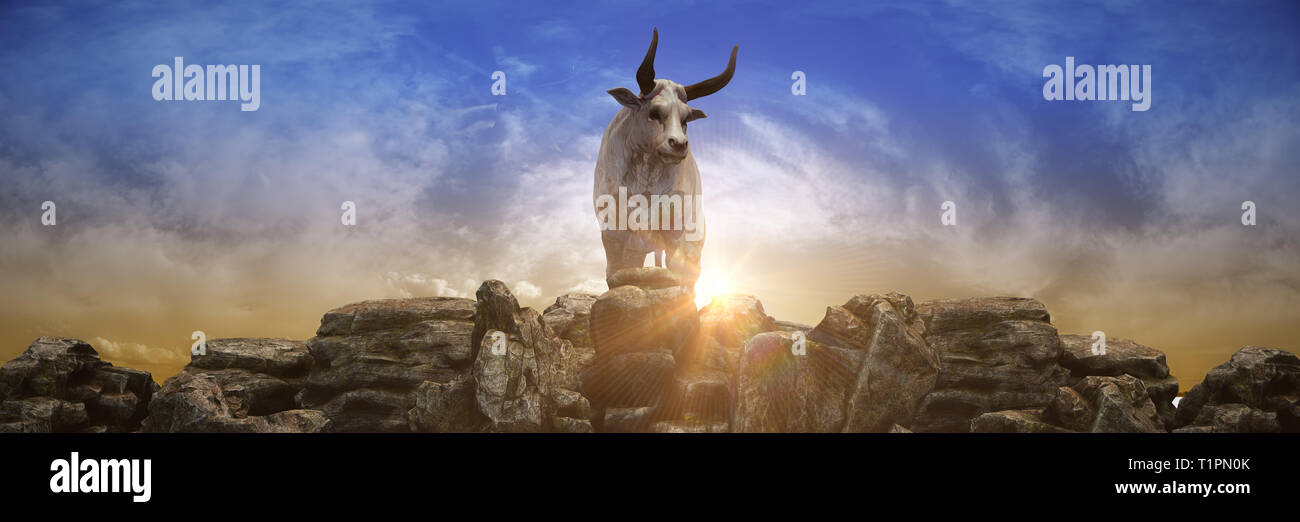 bull at sunset. 3d rendering Stock Photo - Alamy