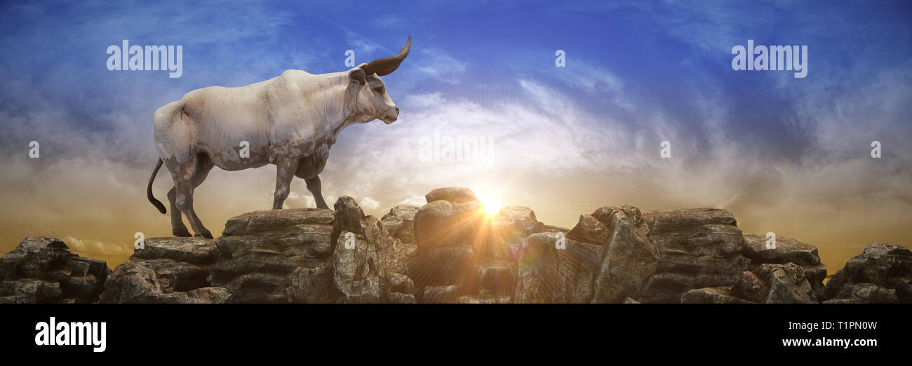 bull at sunset. 3d rendering Stock Photo - Alamy