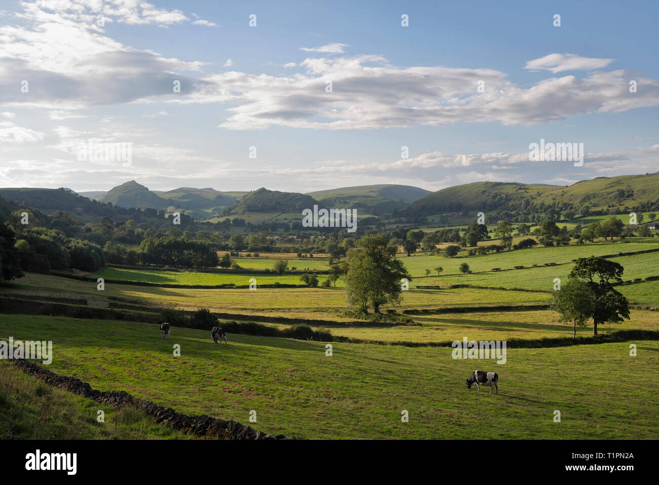 English Landscape Upper Dovedale Peak District National Park ...