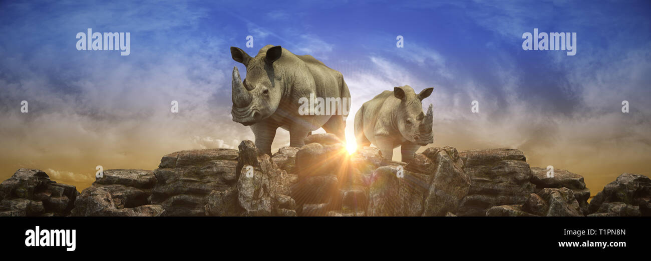 Rhino at sunset. 3d rendering Stock Photo - Alamy