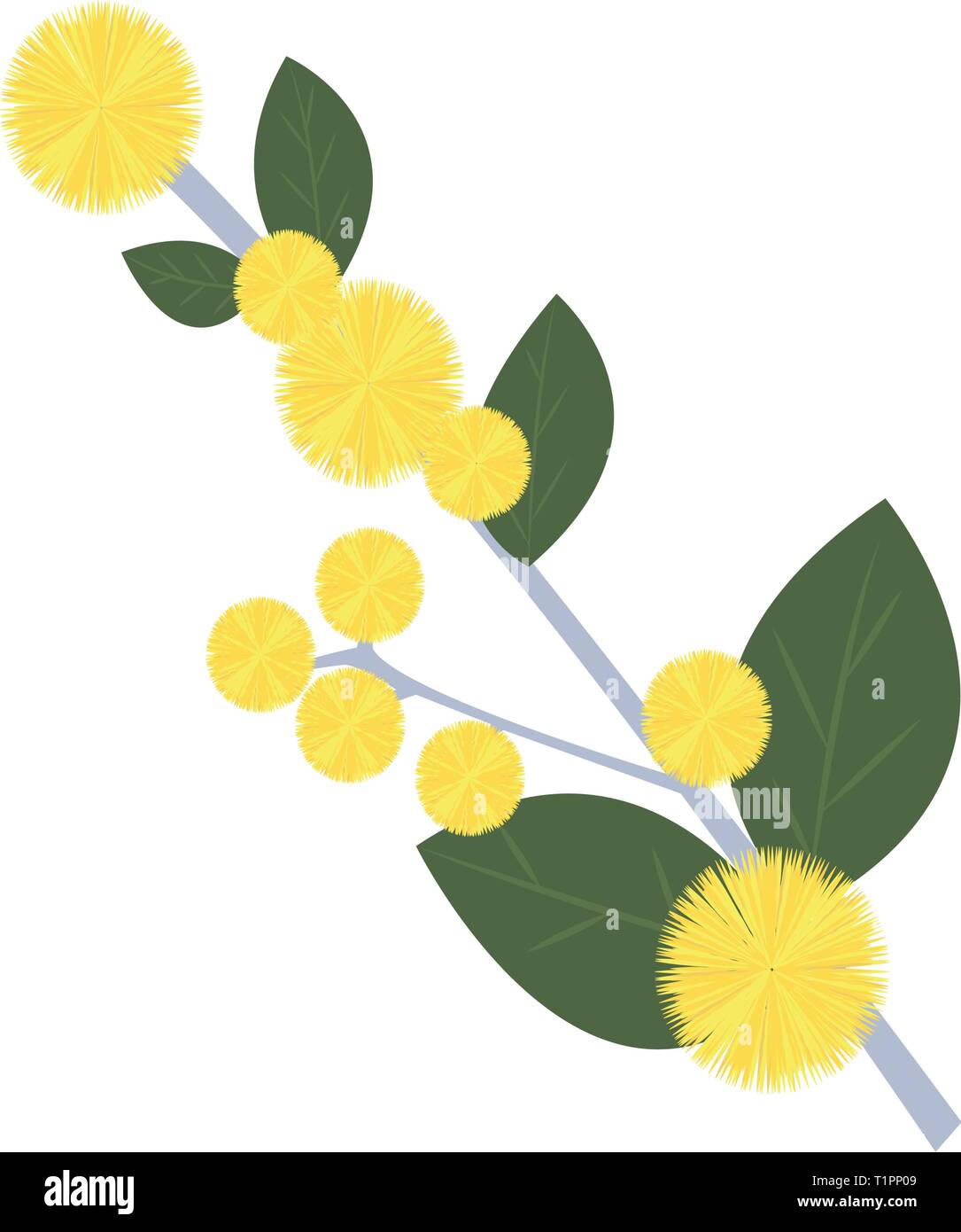 Australian Flower Clip Art at Christopher Dehart blog