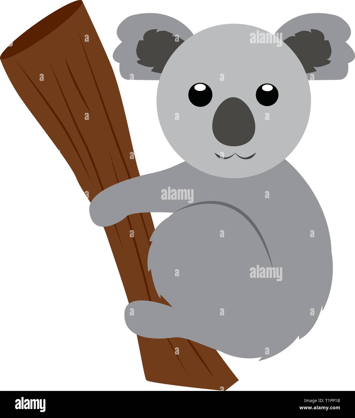 isolated koala face Stock Vector Image & Art - Alamy