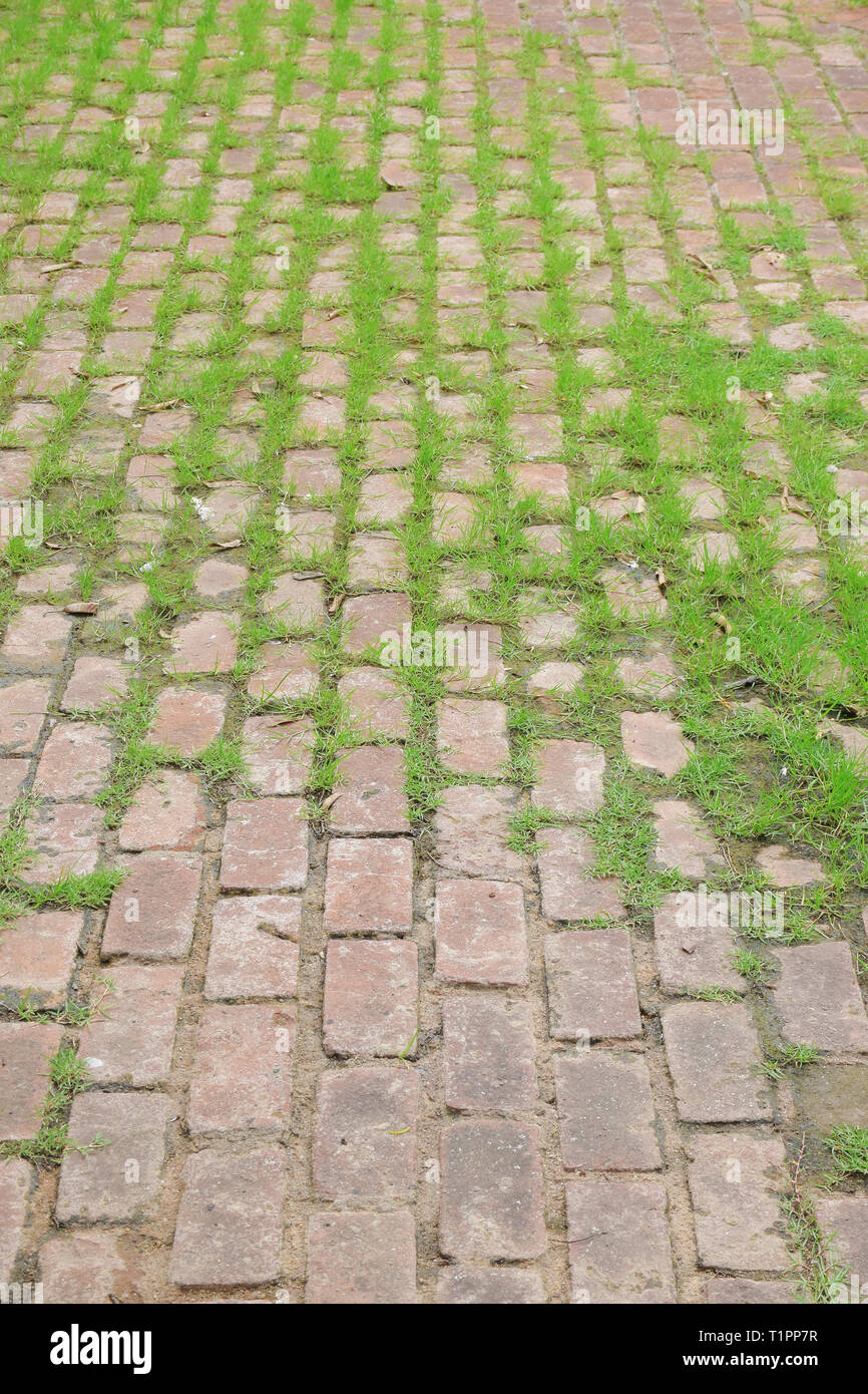 Stone block with grass pavement Stock Photo - Alamy