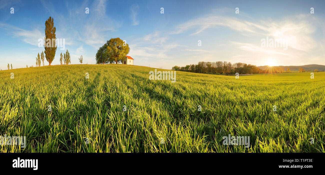 Spring agriculture hi-res stock photography and images - Alamy