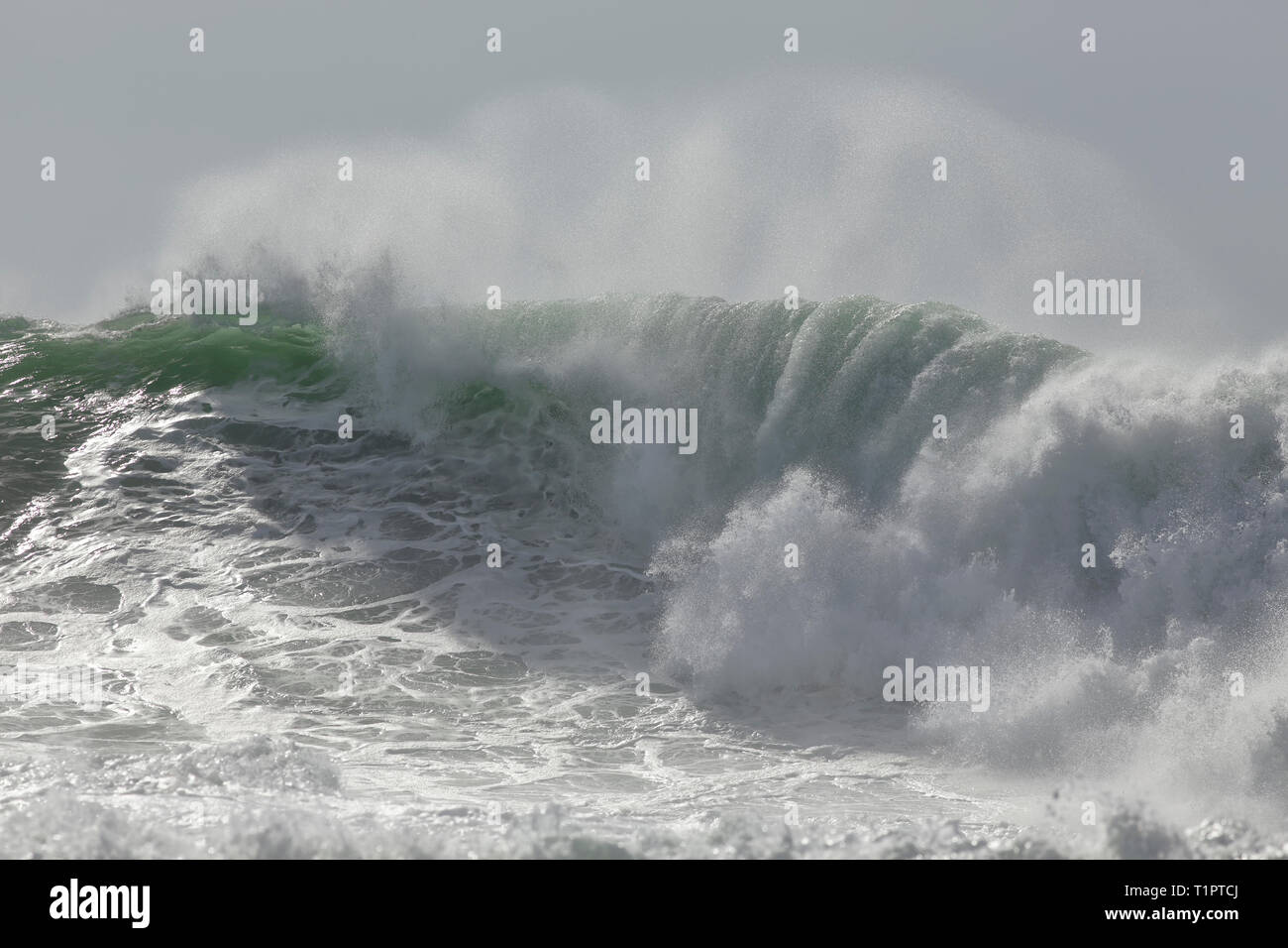 Breaking huge wave with spray closeup Stock Photo - Alamy