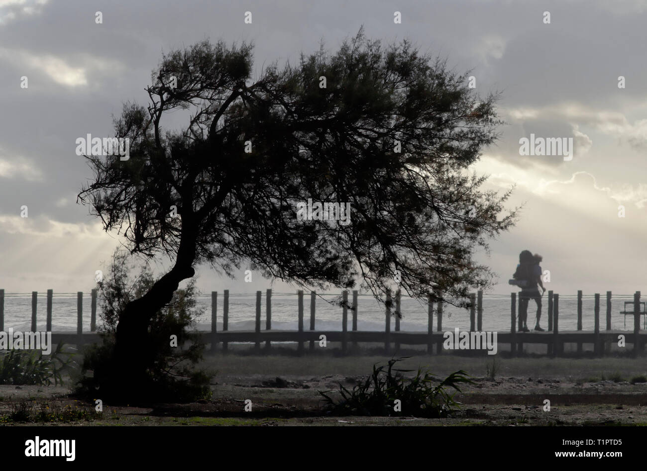 Portuguese way of Santiago by the coast Stock Photo - Alamy