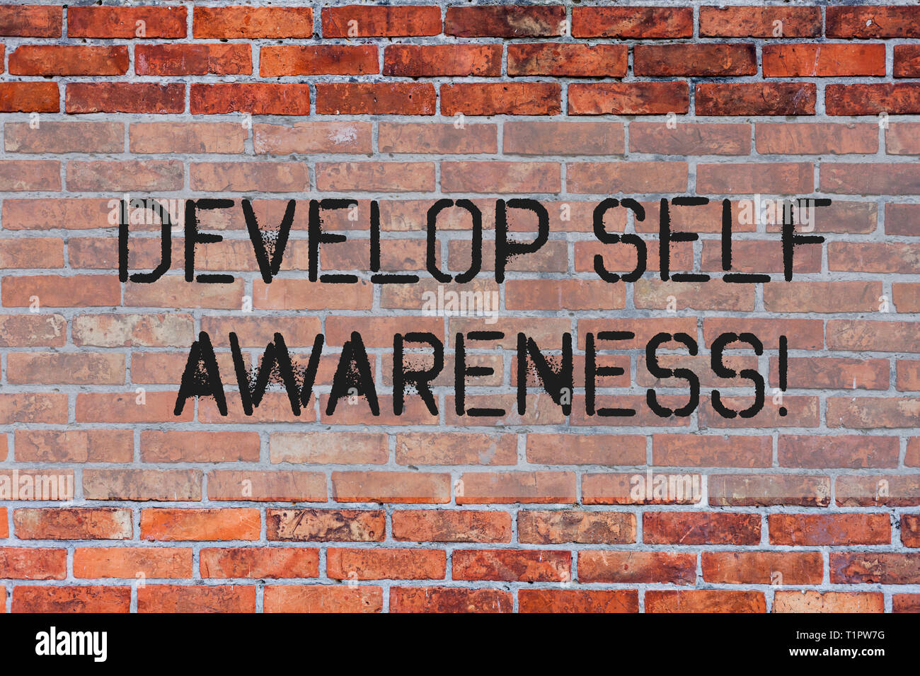 Handwriting text Develop Self Awareness. Conceptual photo What you ...