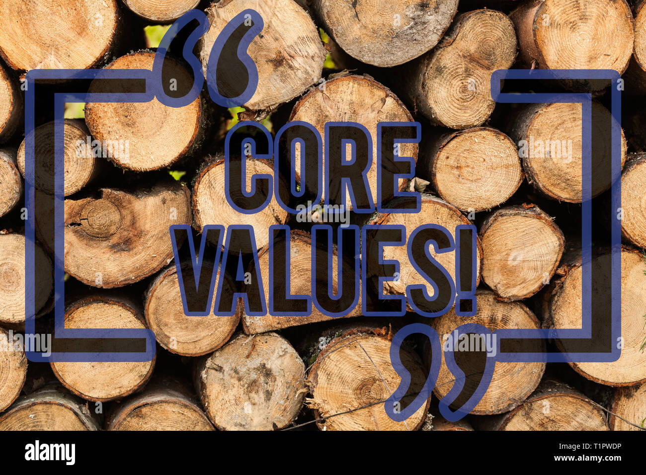 Conceptual hand writing showing Core Values. Concept meaning principle ...