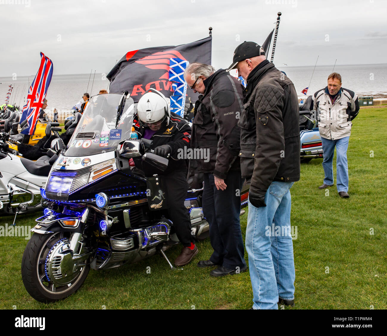 Gold wing motorcycles hi-res stock photography and images - Alamy